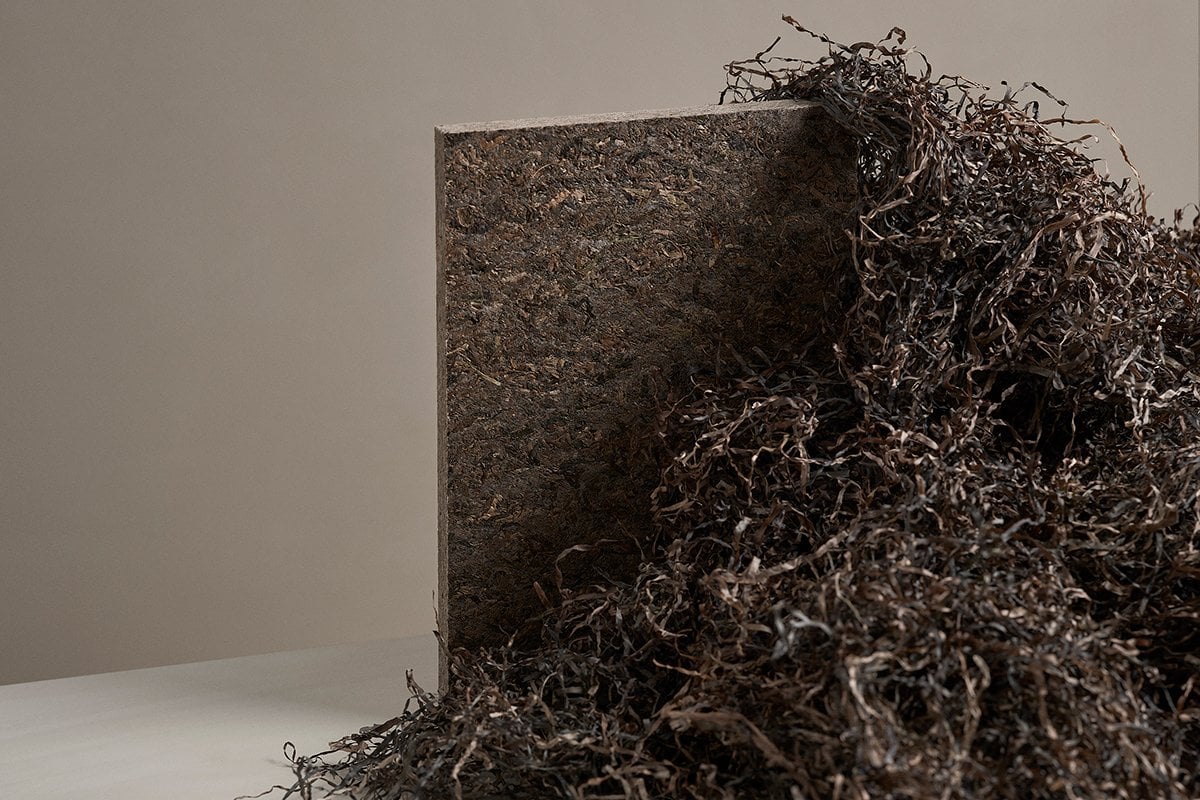 Eelgrass Spinneybeck